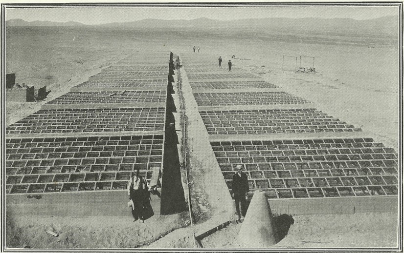 Las plantas de destilación solar del Desierto de Atacama 1872-1909 ...